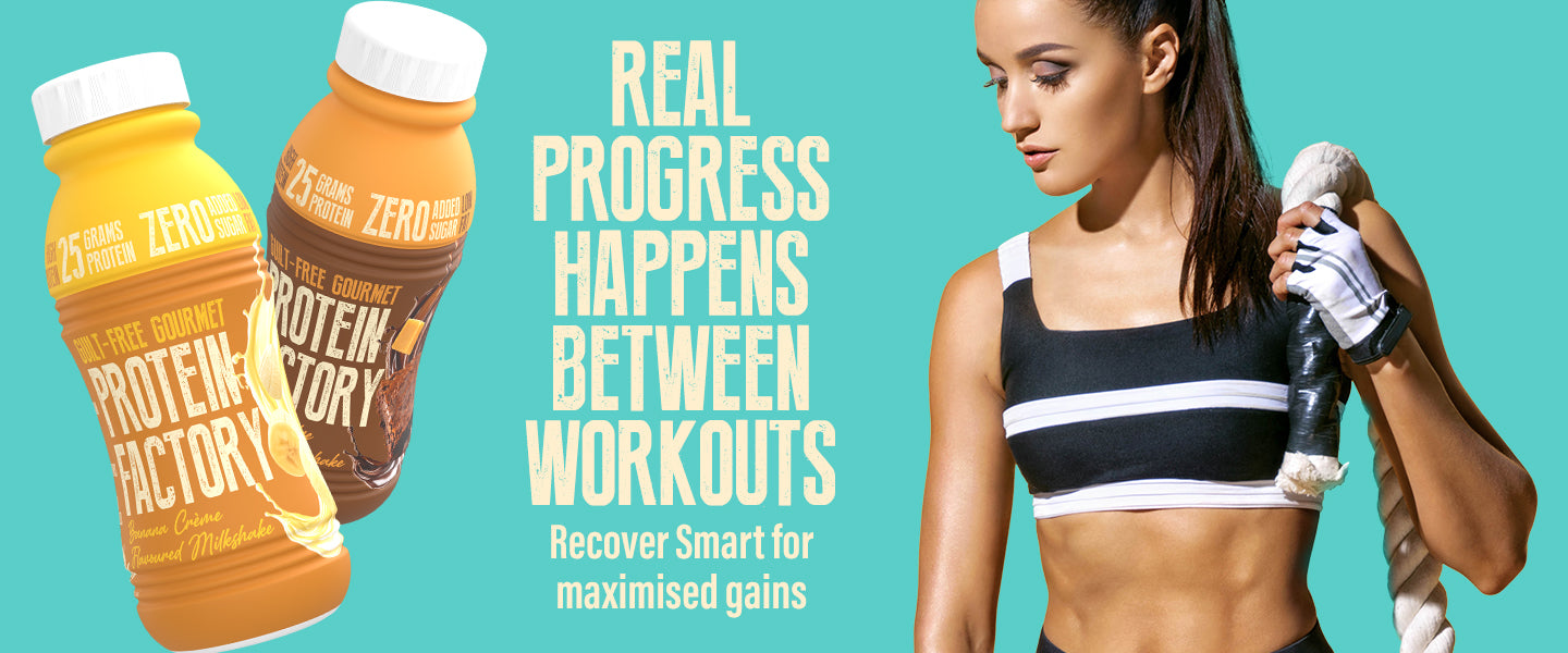 The Protein Factory | Guilt-Free Gourmet