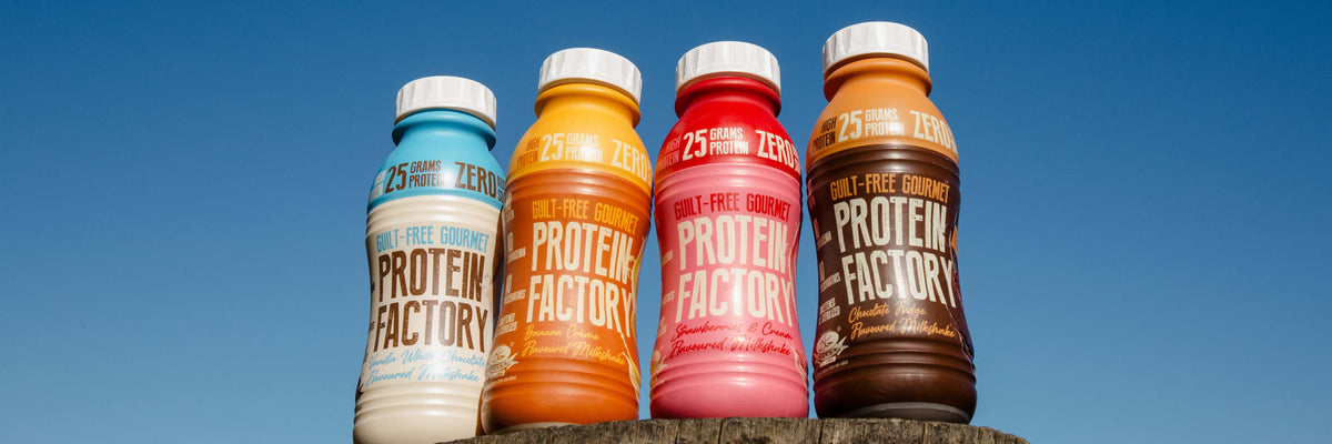 The Protein Factory